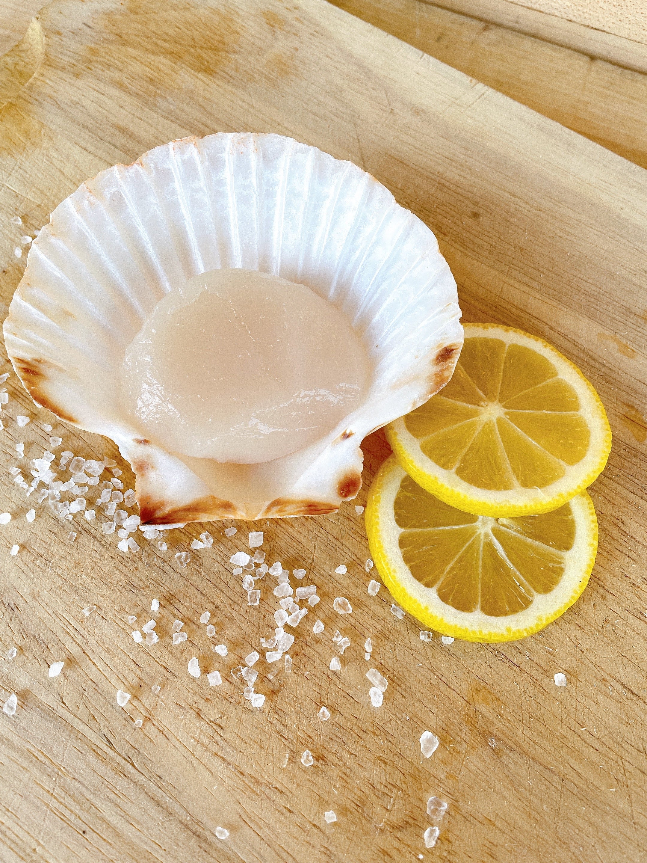 DRY SEA SCALLOPS | Williston Meat & Fish Market
